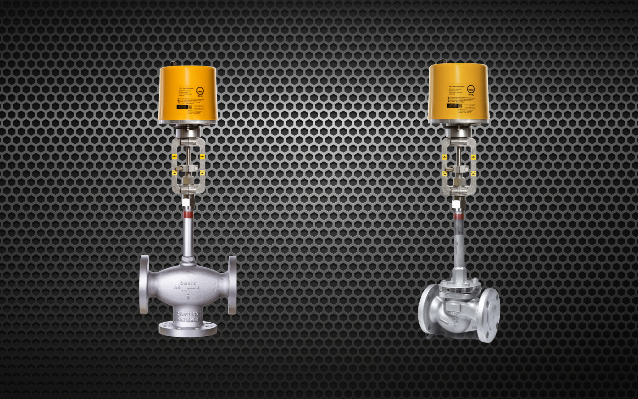 ANSI Valves - Baelz North America